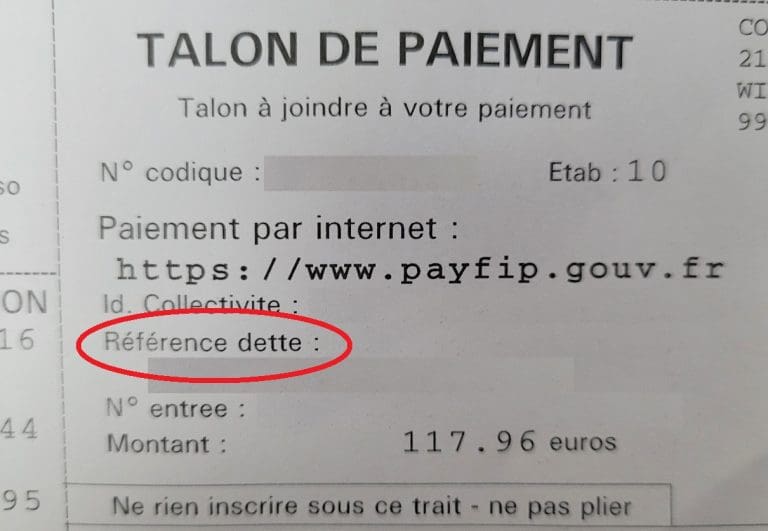 French Hospital Bill - How to Pay Using PayFip - Full Payment Guide